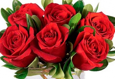 Significa del número de rosas